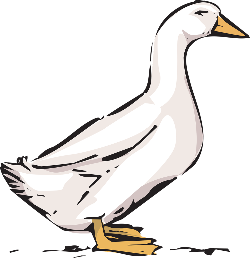 How To Draw A Duck Easy Drawing Guides
